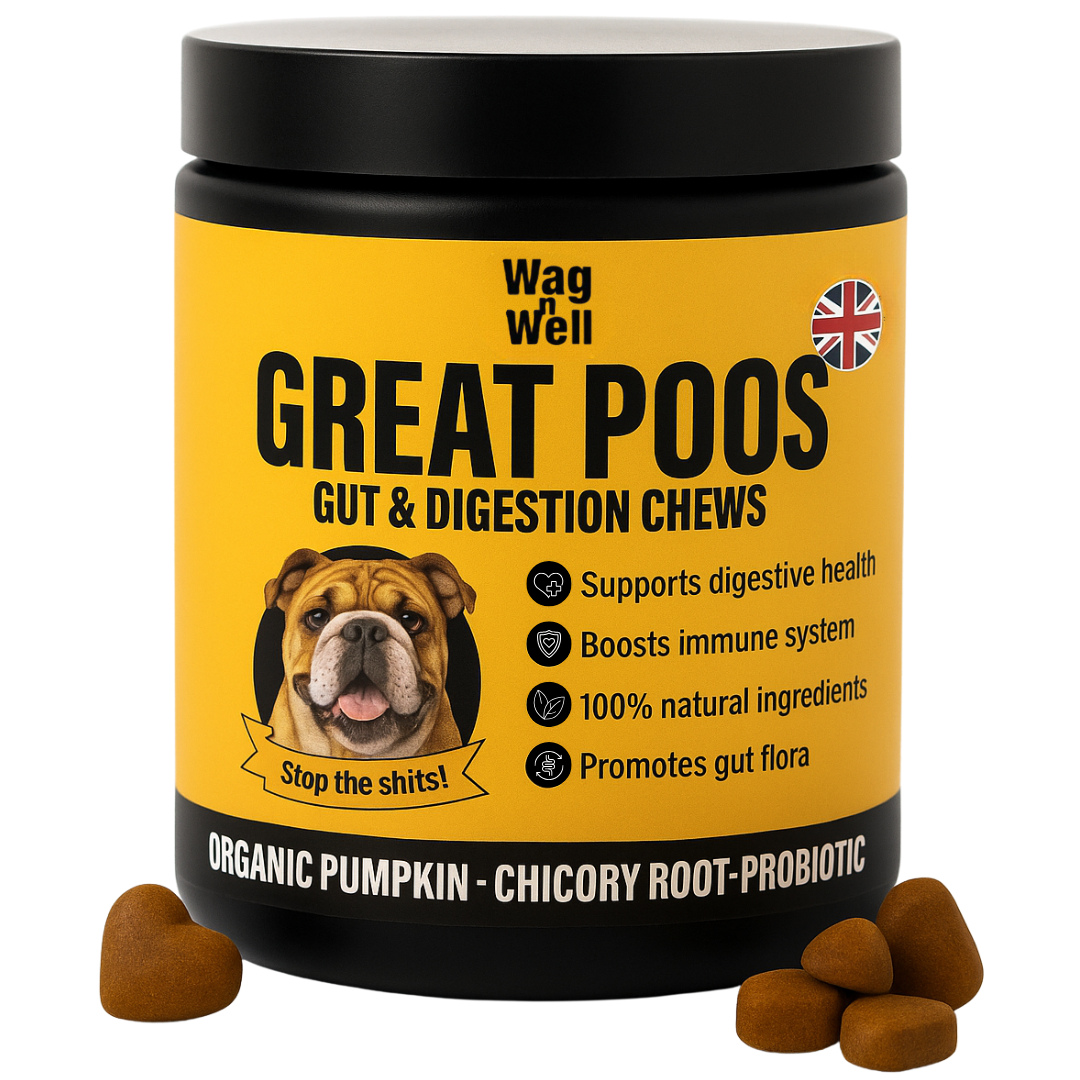 Great Poos™ - 100 Gut & Digestion Pre & Probiotics Chew Treats – WagnWell